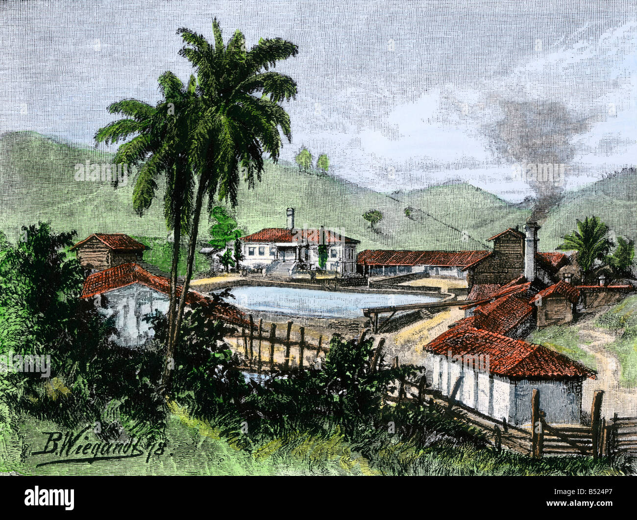 Coffee plantation in southern Brazil 1800s. Hand-colored woodcut Stock ...