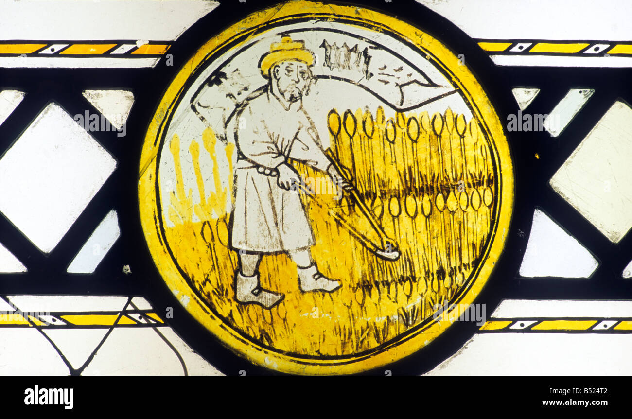 Medieval Stained Glass Roundel window, Labour of the Month, June ...
