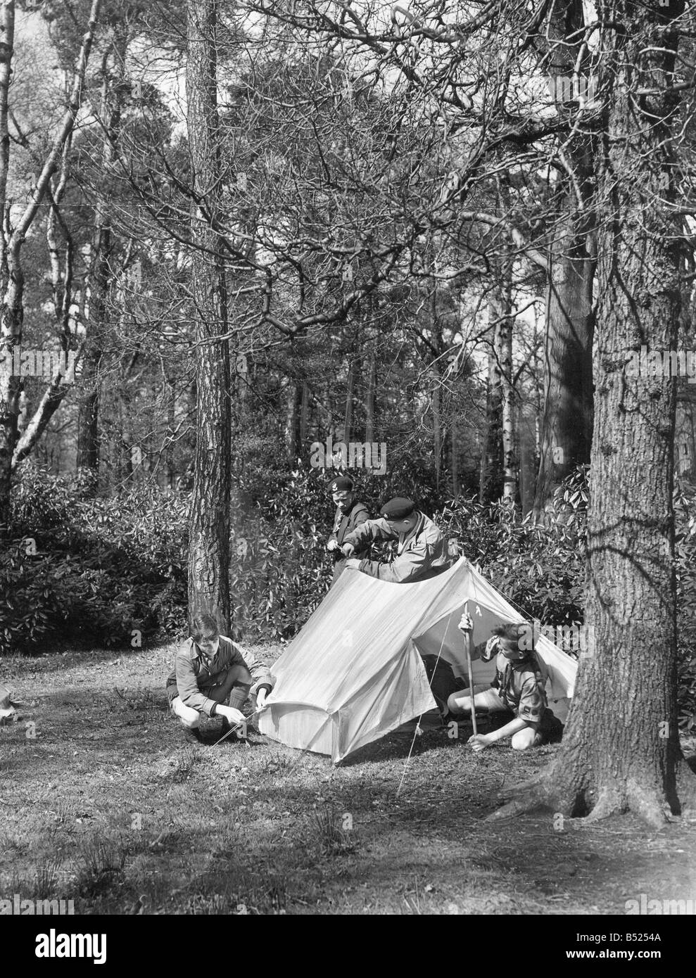 Boy Scouts gaining their forester s badge at Gosforth Park in Newcastle ...