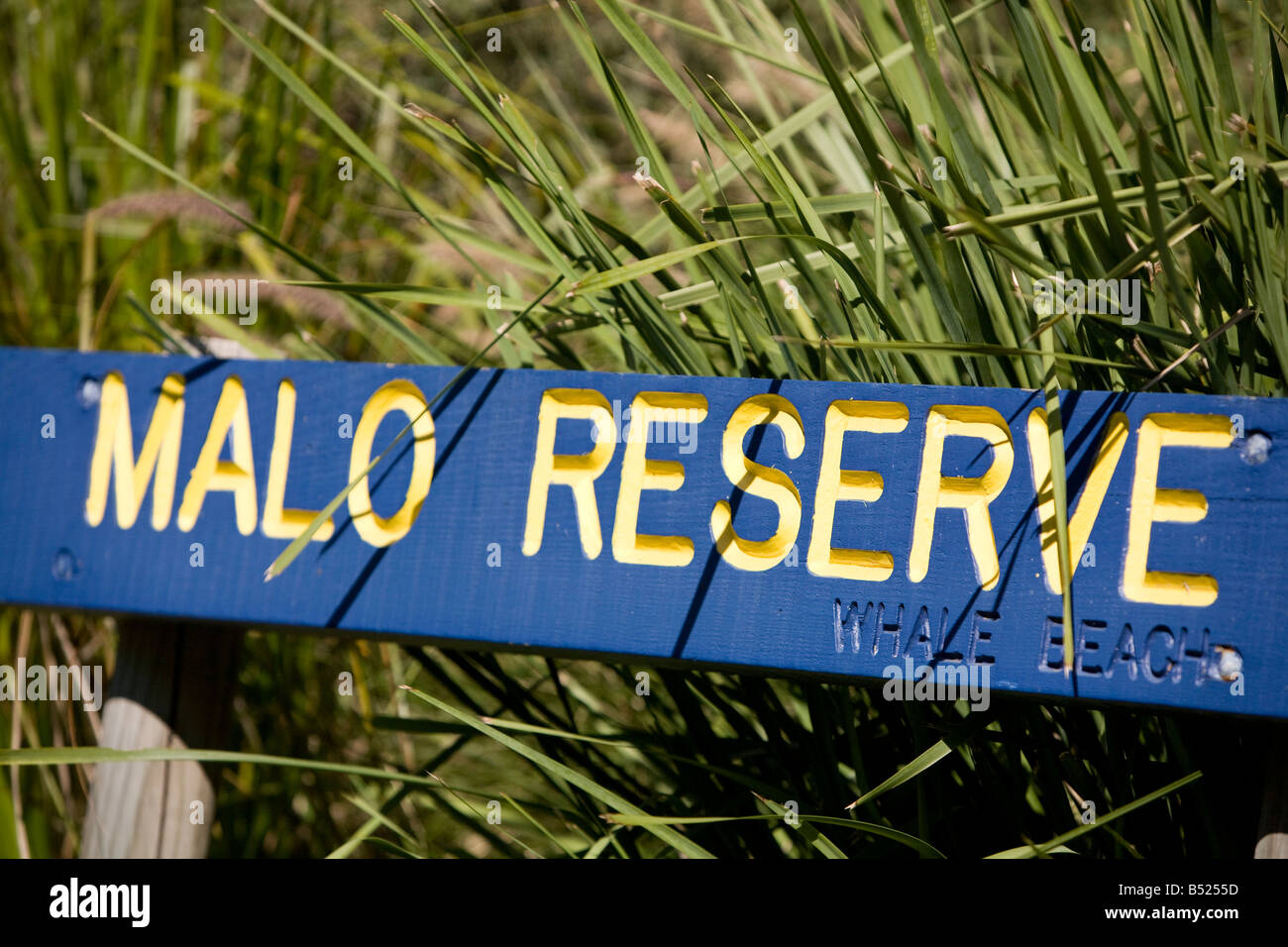 malo reserve sign at whale beach,one of sydney's famous northern ...