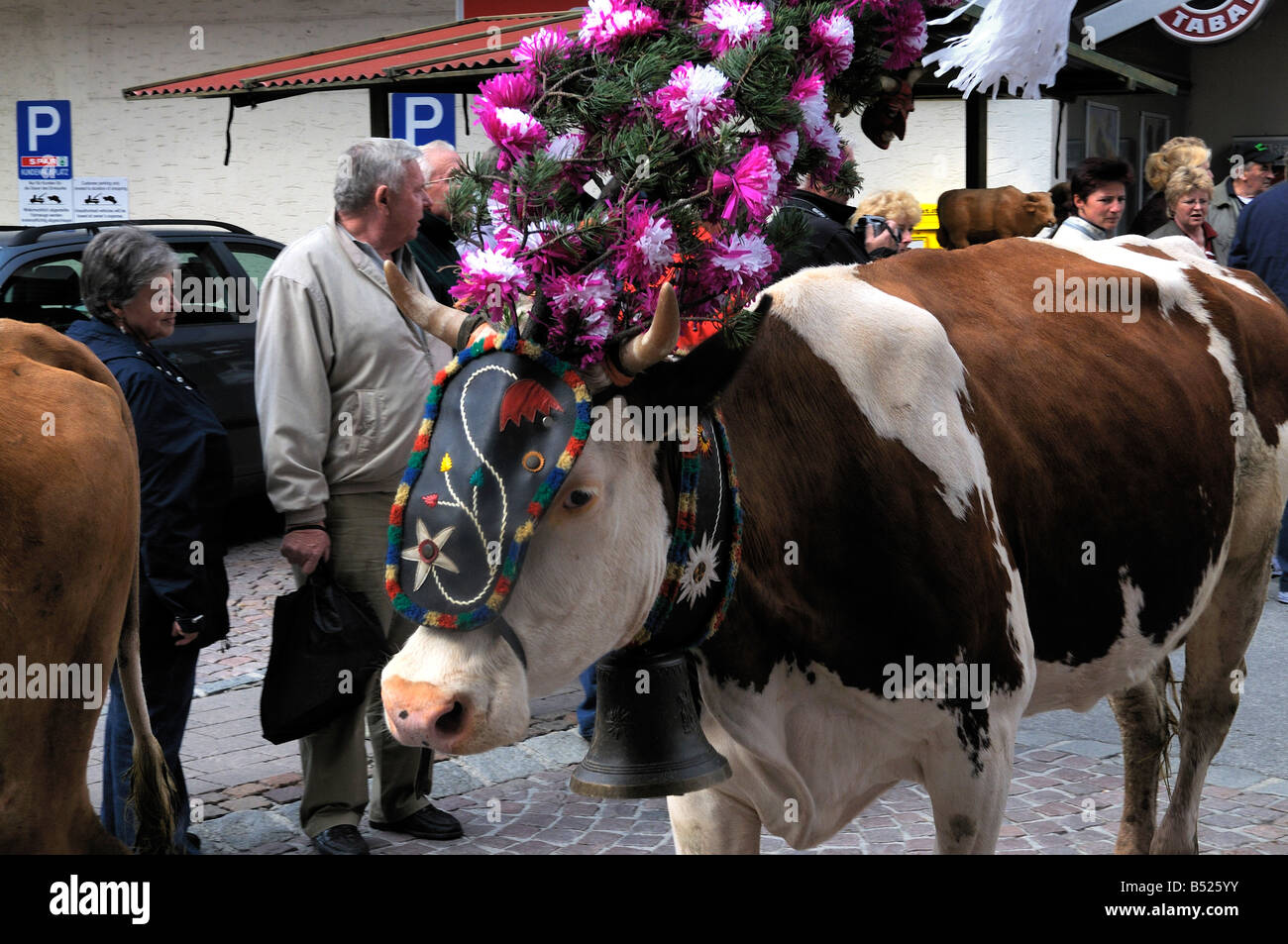Traditional almabtrieb hi-res stock photography and images - Alamy