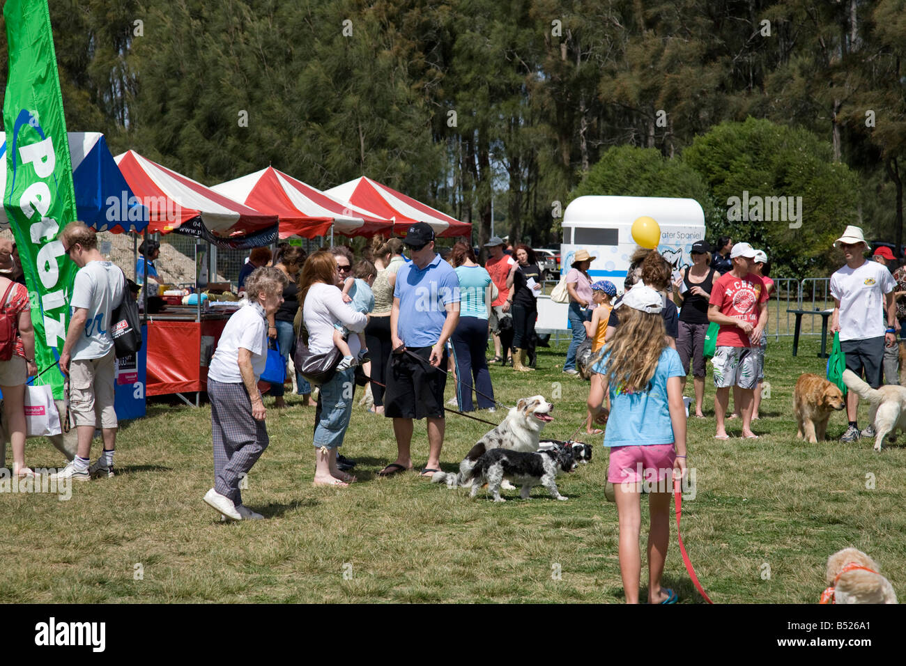 Dog show crowd hi-res stock photography and images - Alamy