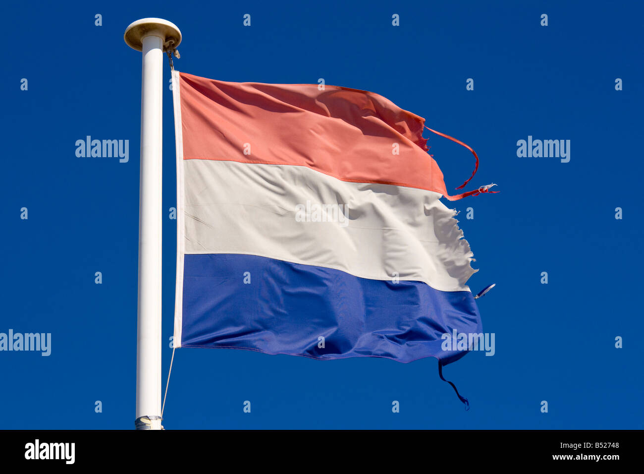 Netherlands flag dutch national hi-res stock photography and images - Alamy