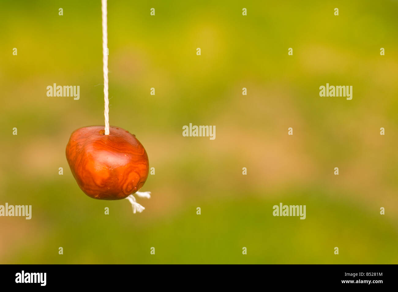 Playing conkers hi-res stock photography and images - Alamy