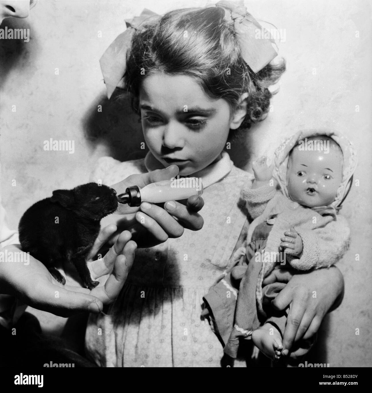 Harvey the rabbit hi-res stock photography and images - Alamy