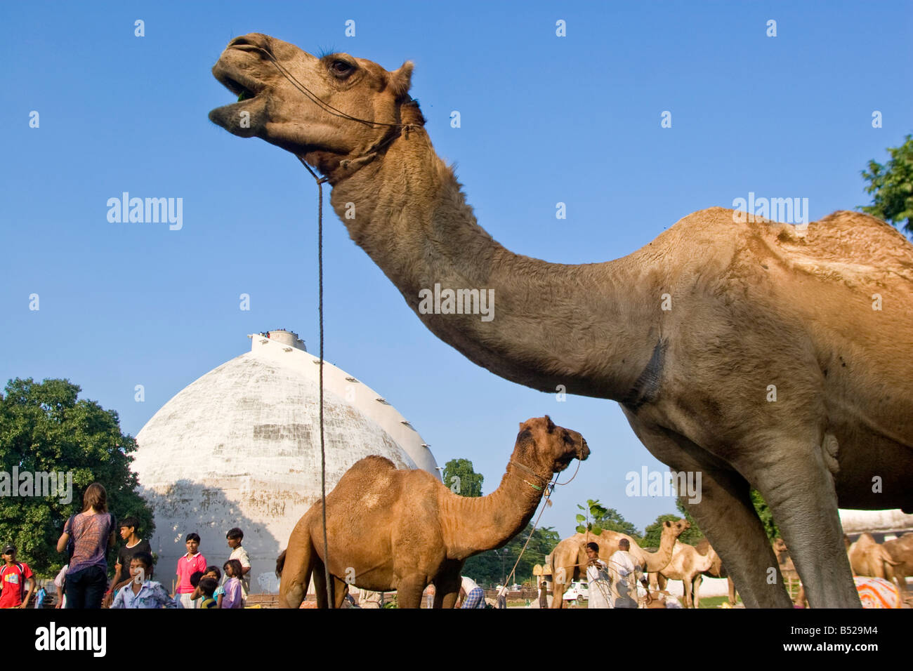The Golghar in Patna, capital of Bihar state, India Stock Photo - Alamy
