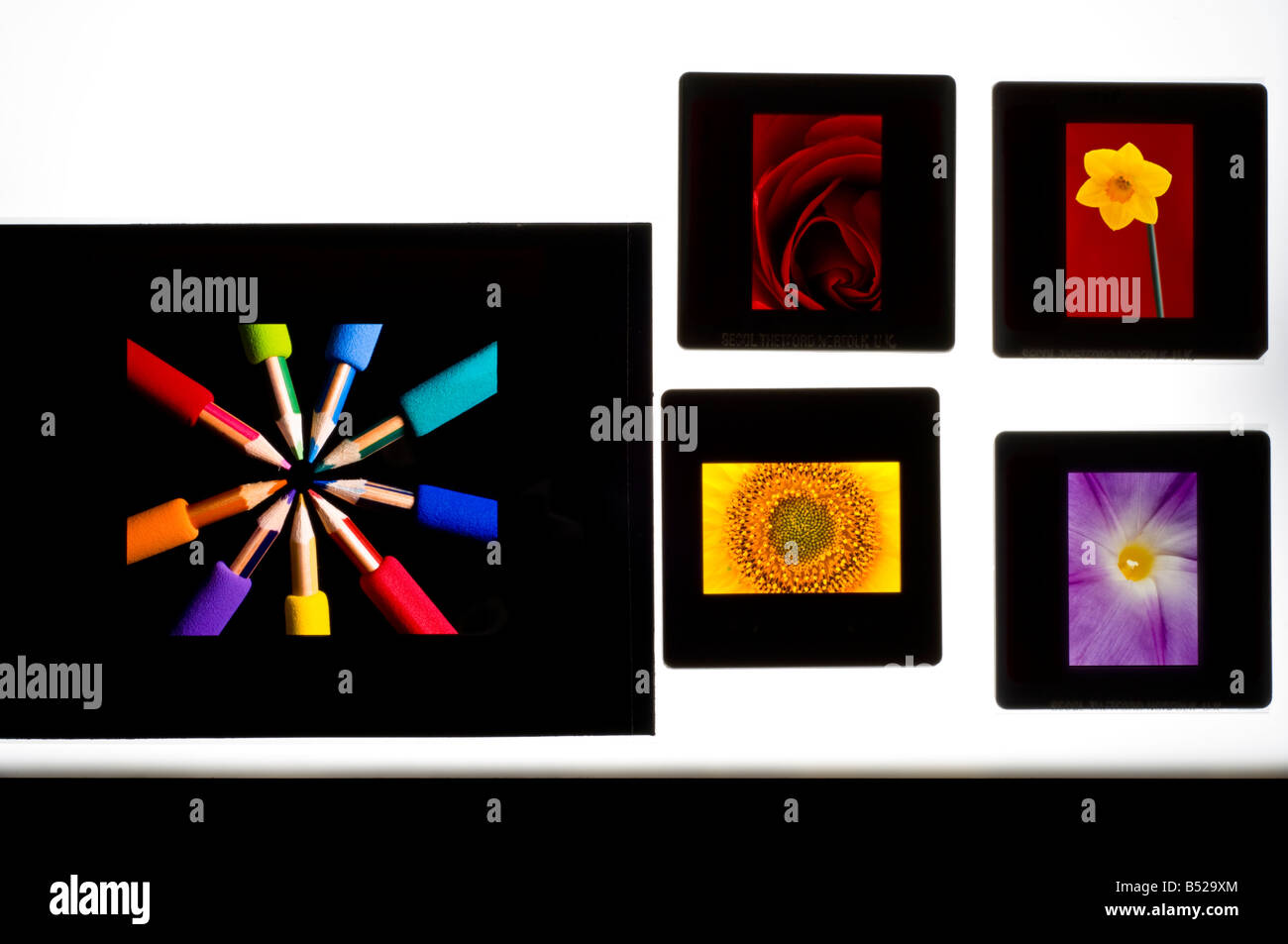 Transparencies on a lightbox Stock Photo - Alamy