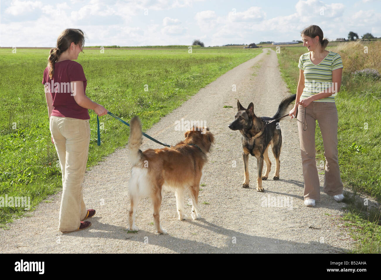 women with half breed dog and sheperd Stock Photo - Alamy