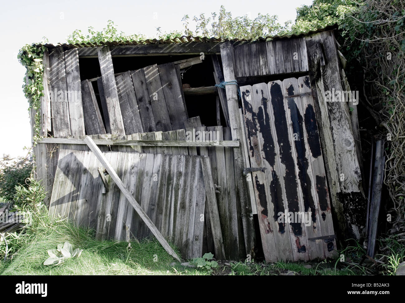 Ruined shed on the North Coast of Devon Stock Photo - Alamy