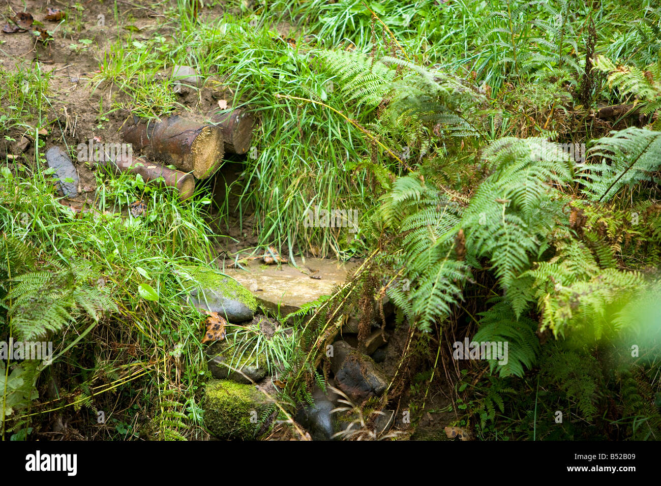 artificial otter holt constructed by a farmer Stock Photo - Alamy