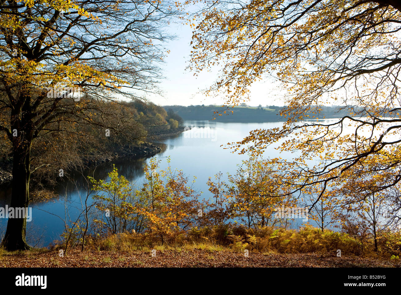 Anglezarke lancashire hi-res stock photography and images - Alamy