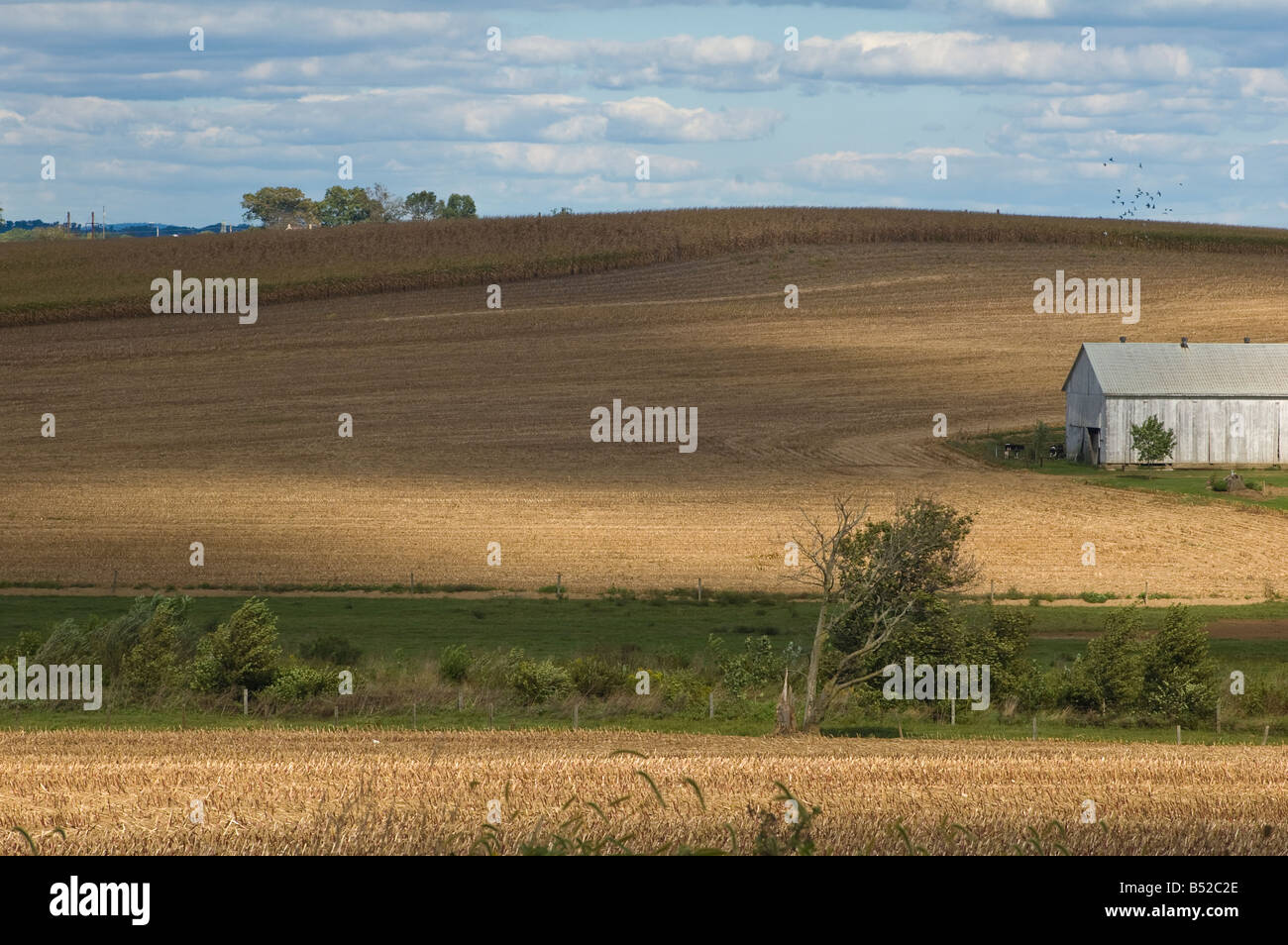 afternoon shadows on rolling hillside Stock Photo - Alamy