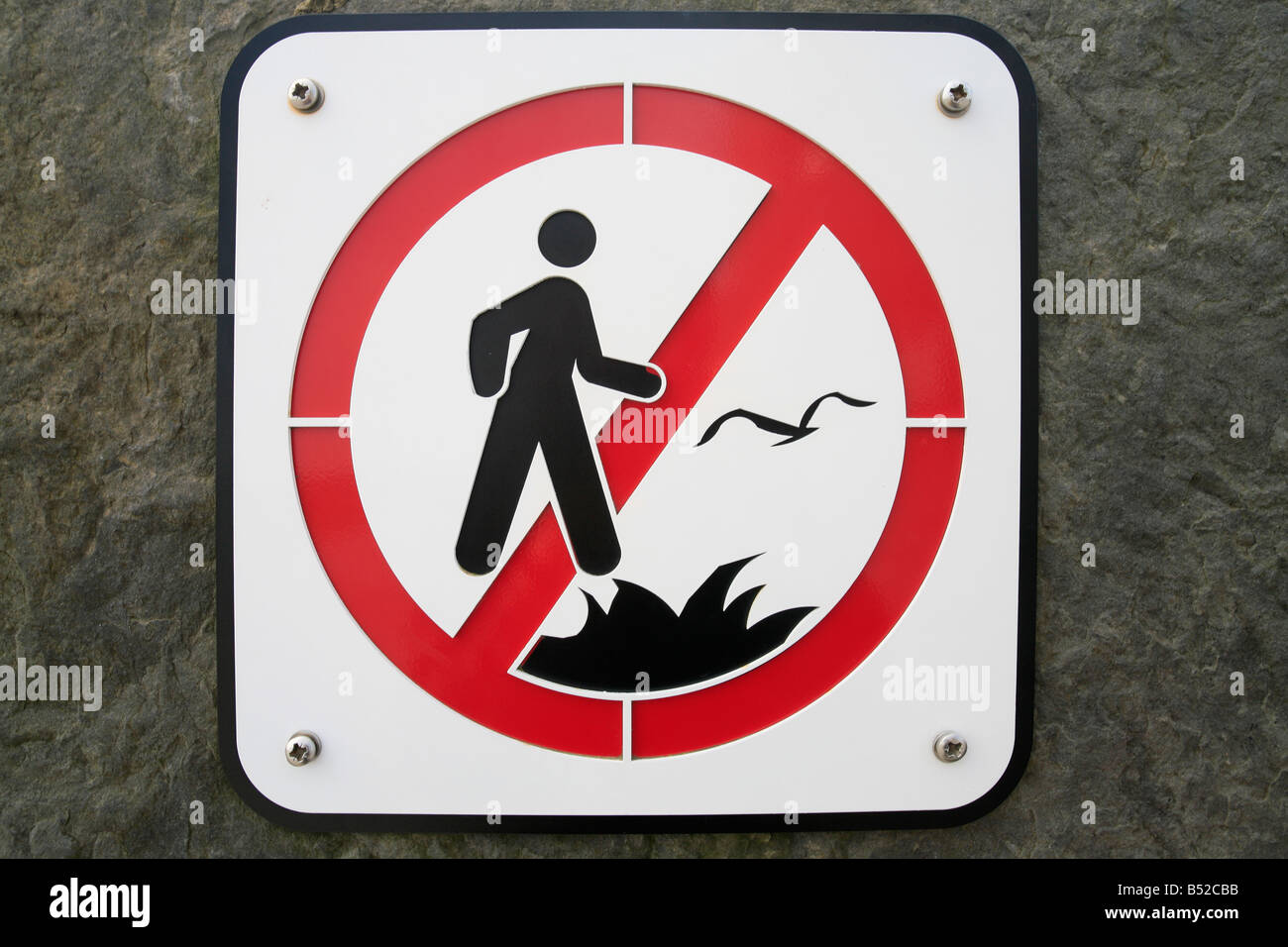 warning sign do not leave the path to protect breeding birds at the ...