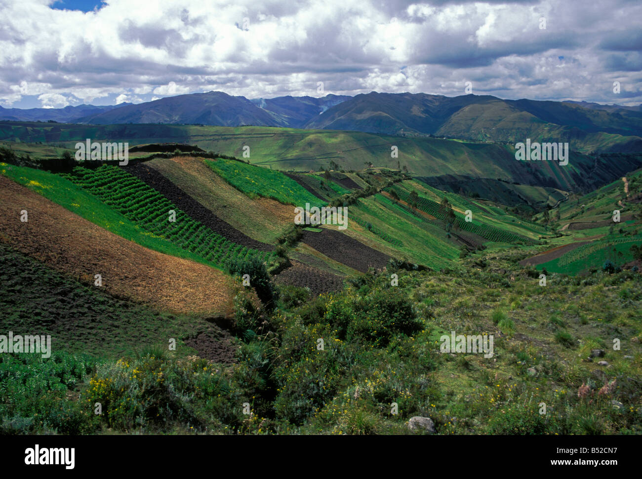 agriculture, agricultural fields, food crop, crops, cropland, farms ...