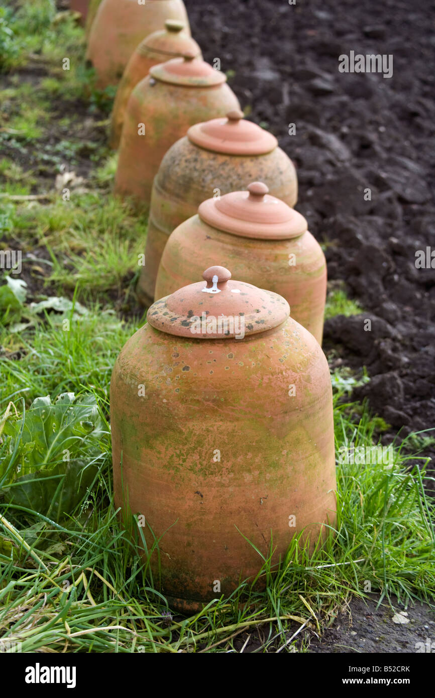 Terracotta rhubarb forcer bell cloches hi-res stock photography and ...
