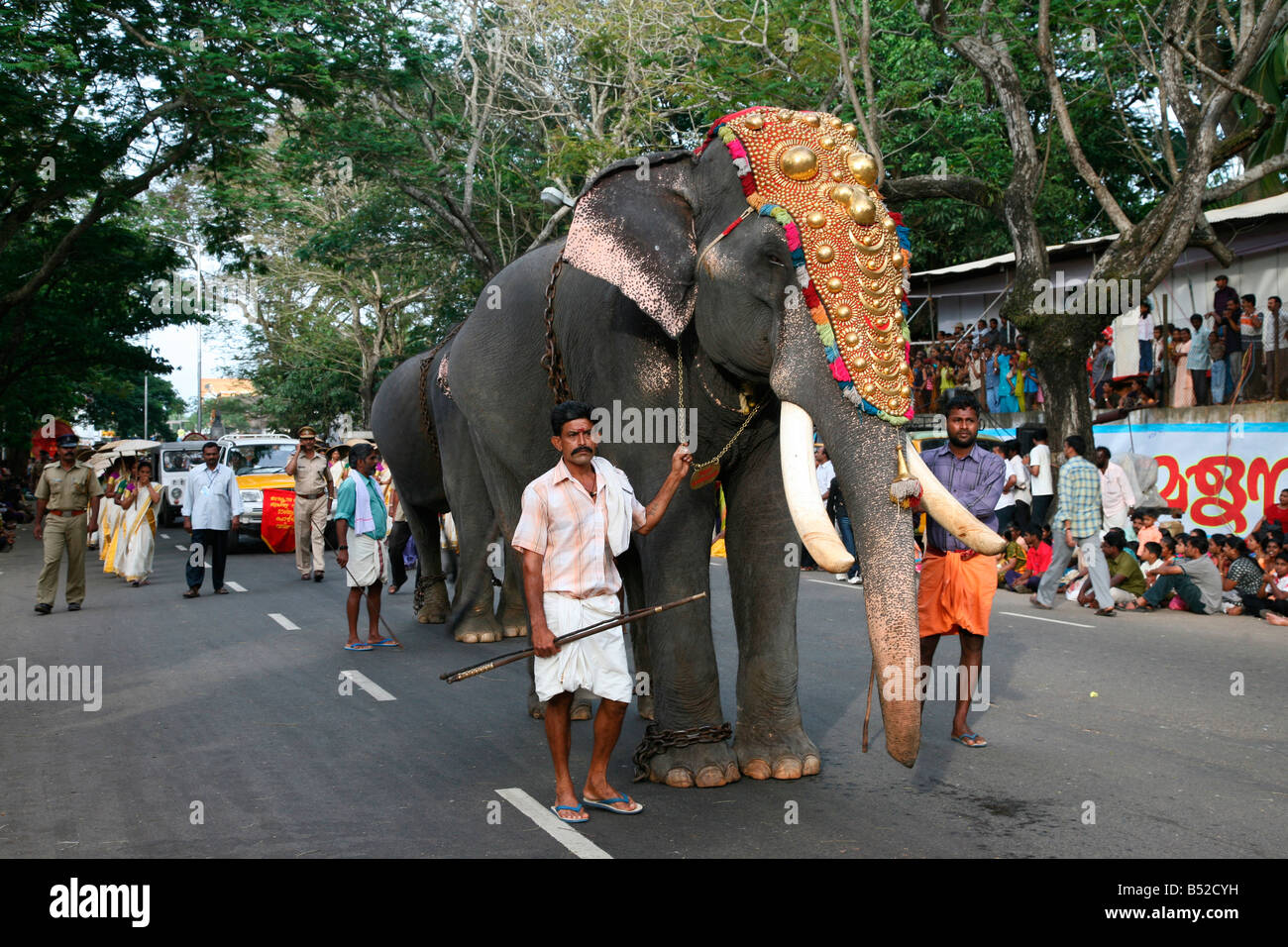 A decorated elephant participating in an procession in kerala,india ...
