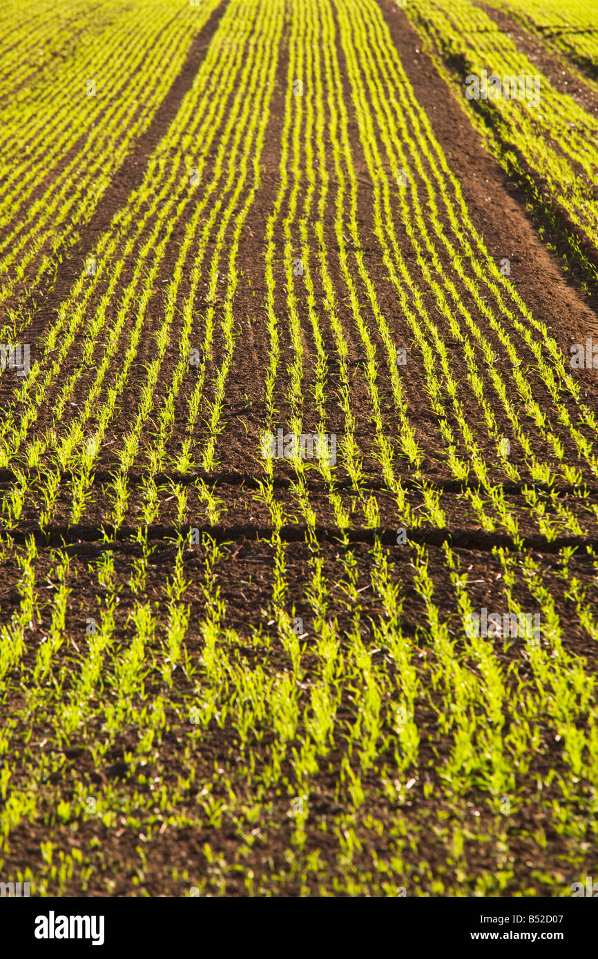 Point vanishing line hi-res stock photography and images - Alamy