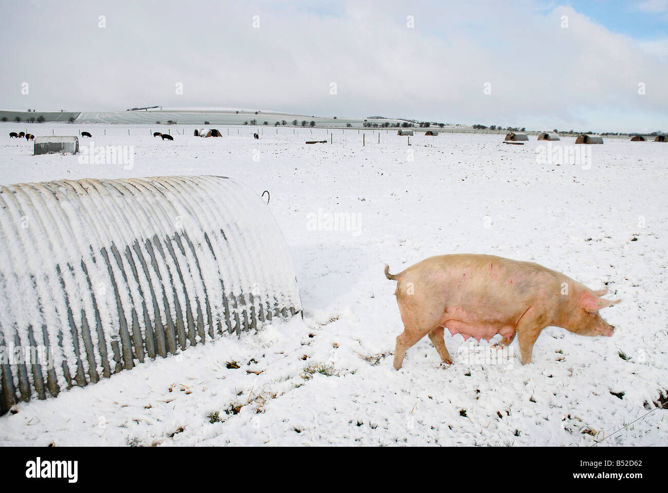 Pig iron cold hi-res stock photography and images - Alamy