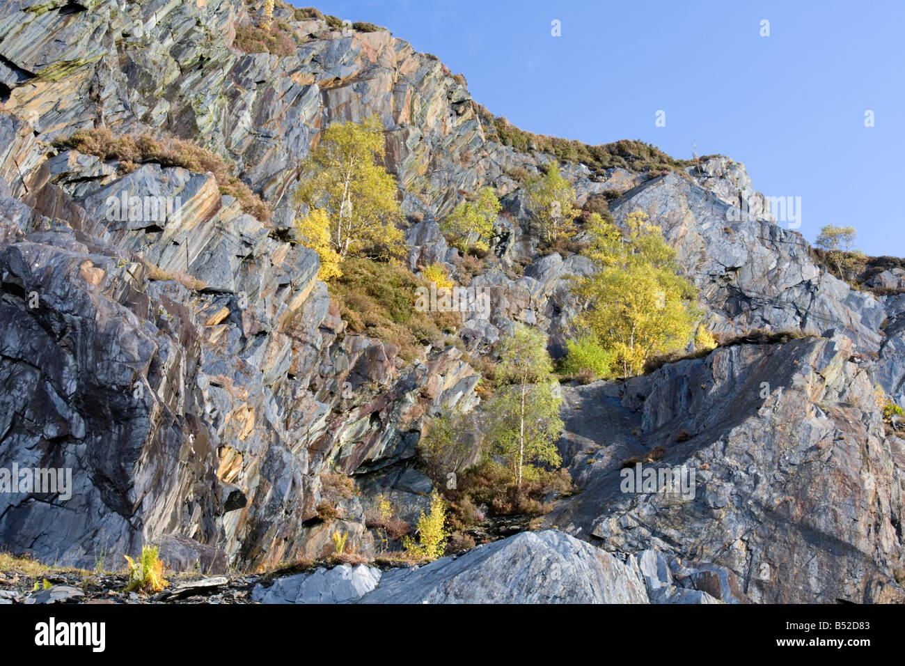 Autumn colour at Ballachulish slate quarry Scotland Stock Photo - Alamy