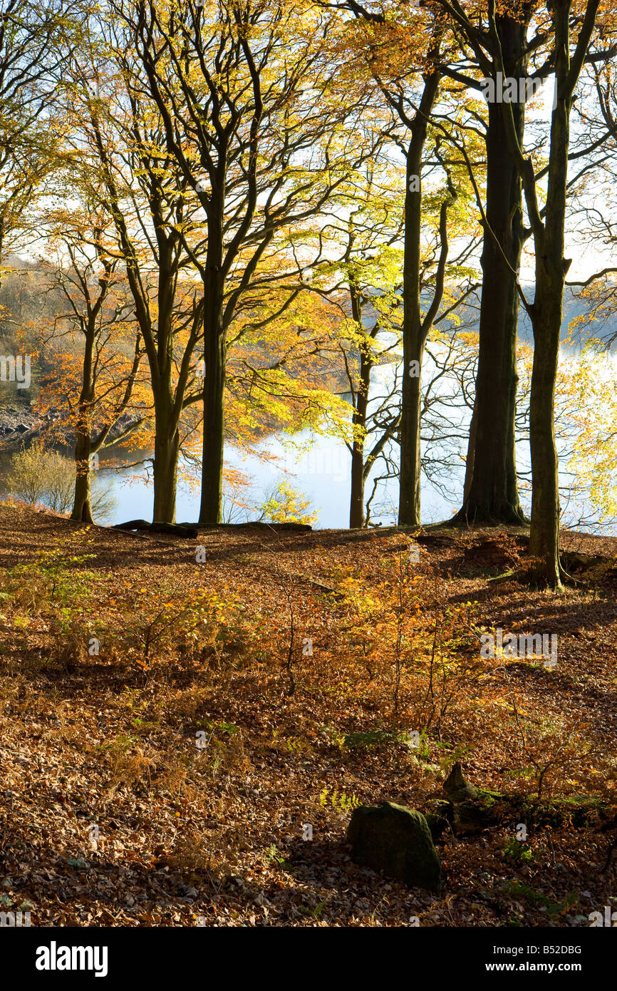 Anglezarke lake hi-res stock photography and images - Alamy