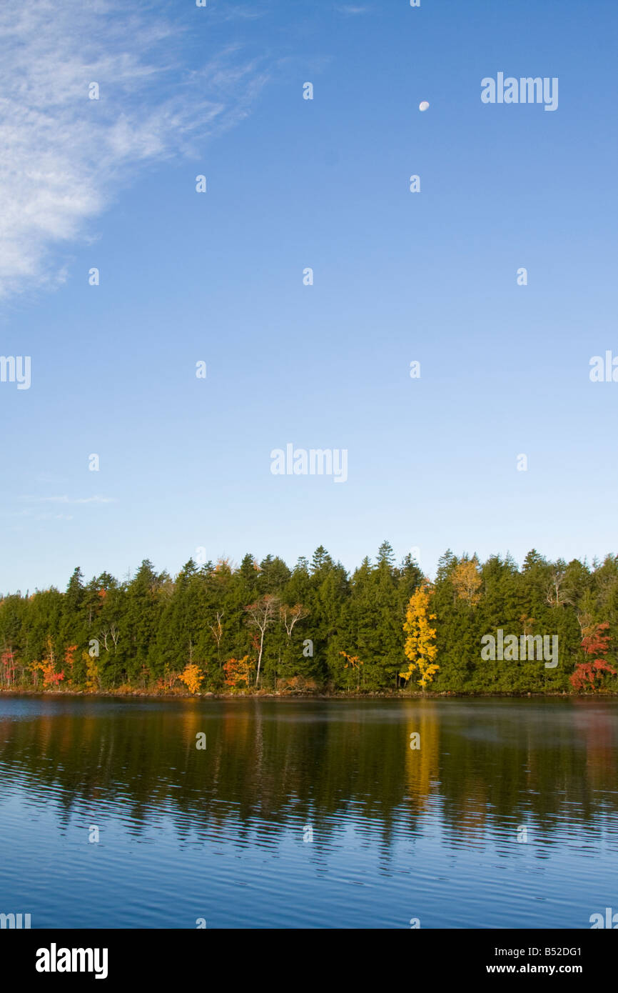 Fall colours on the shores of Fletcher Lake - Fall River, Nova Scotia ...