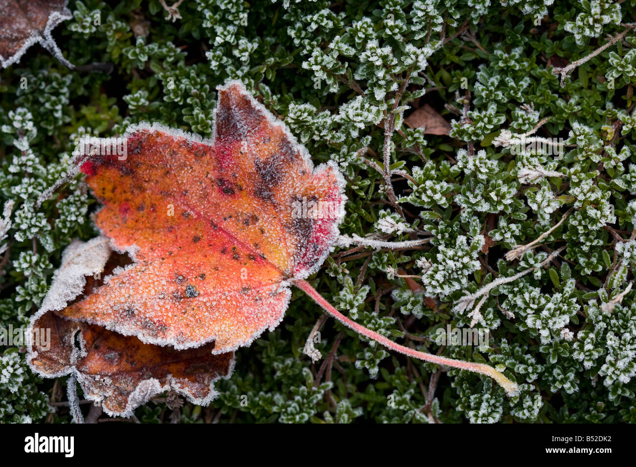 Halifax Nova Scotia Fall High Resolution Stock Photography and Images ...