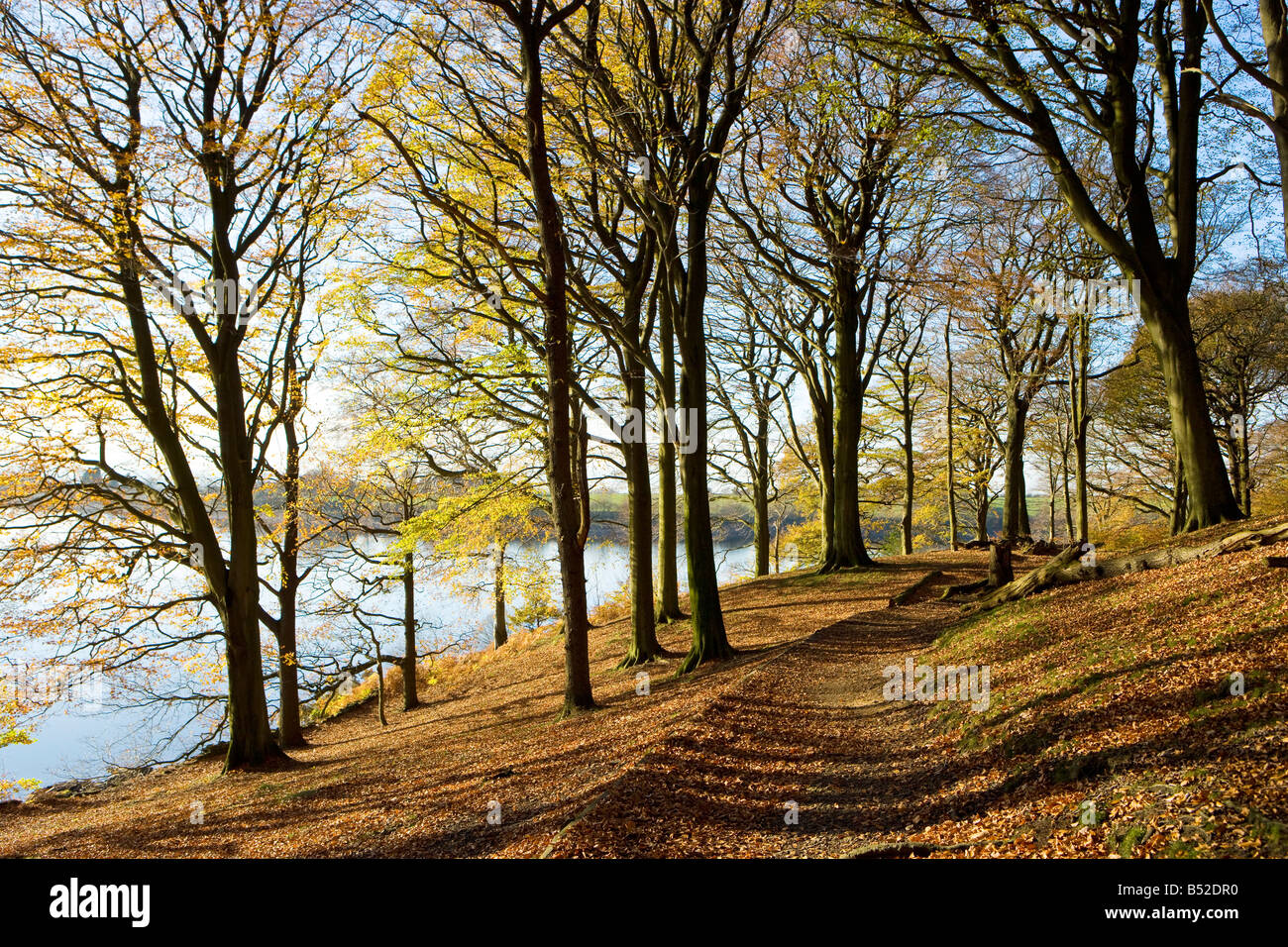 Country lakeside path anglezarke reservoir hi-res stock photography and ...