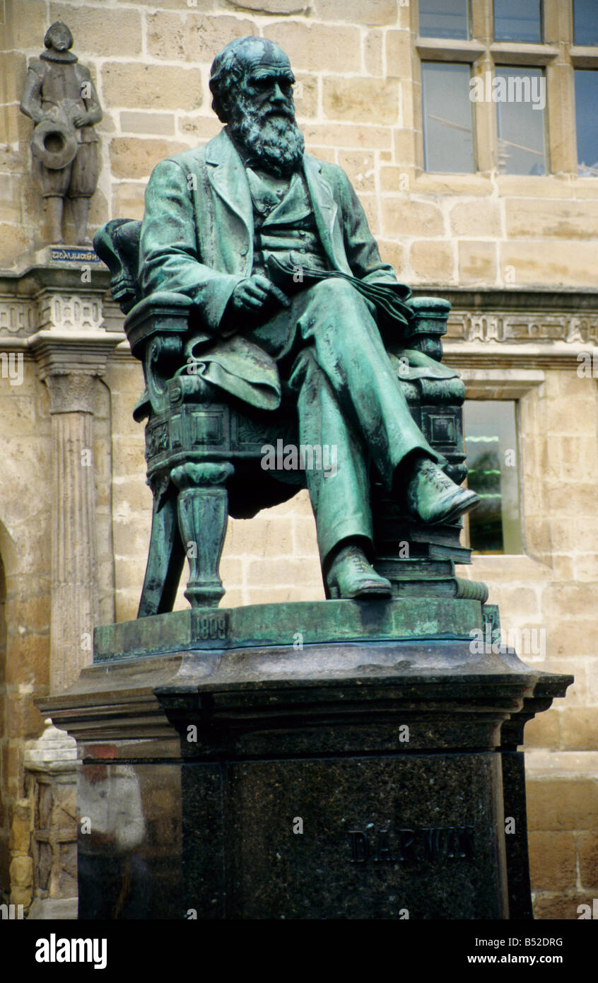 Statue of Charles Darwin, 1809-1882, outside Castlegates Library ...