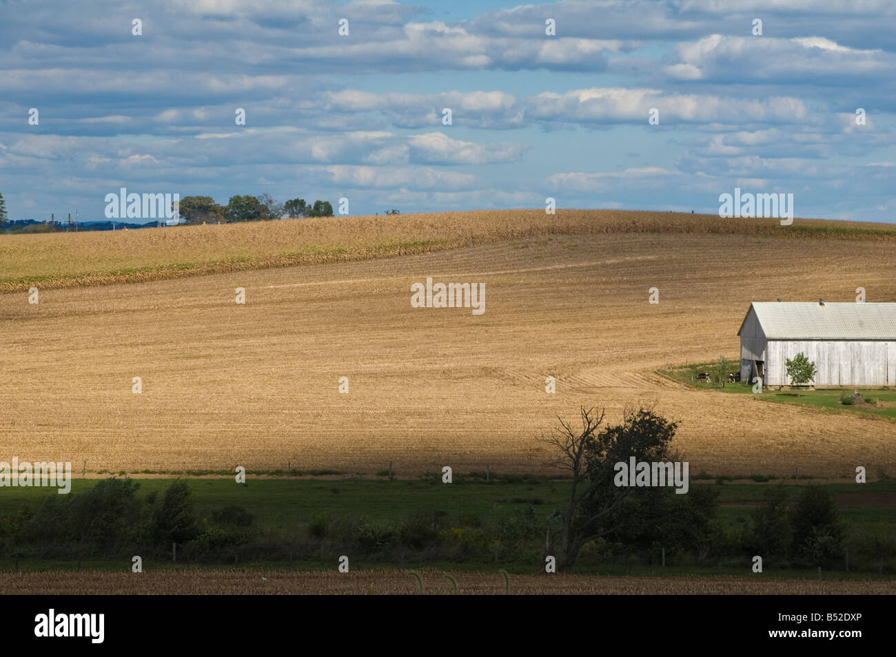 afternoon shadows on rolling hillside Stock Photo - Alamy