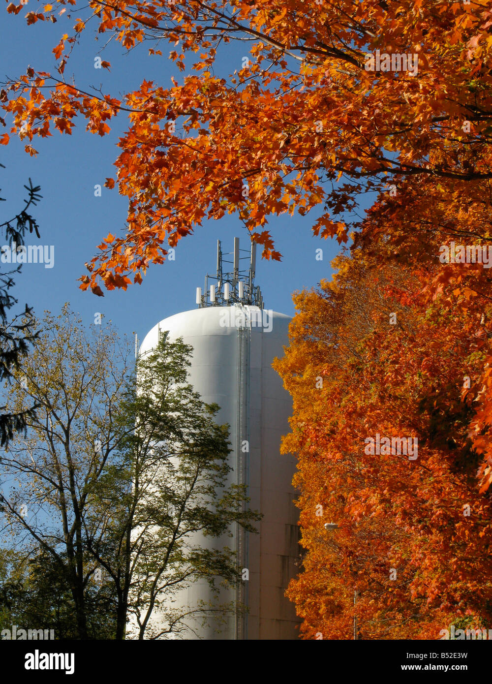 A municipal water tower surrounded by fall foliage Stock Photo - Alamy