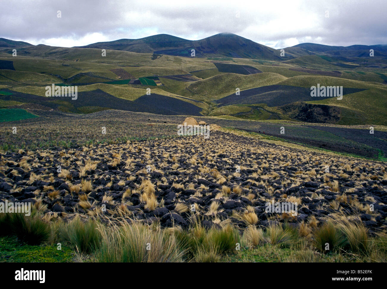 agriculture, agricultural fields, food crop, crops, cropland, farms ...