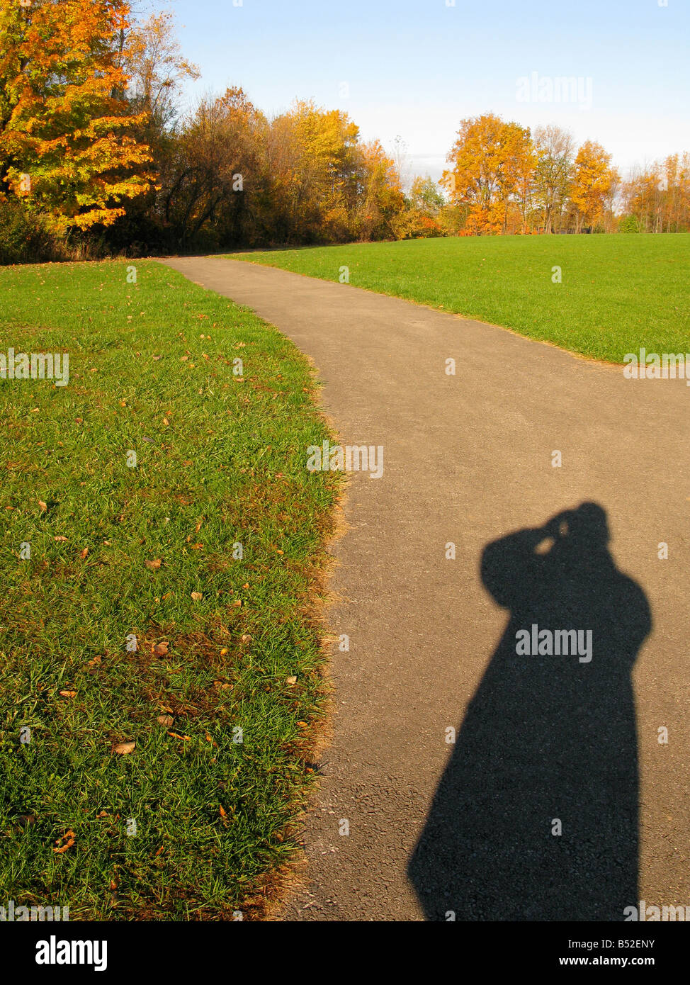 Photographers shadow cast on park path Stock Photo - Alamy