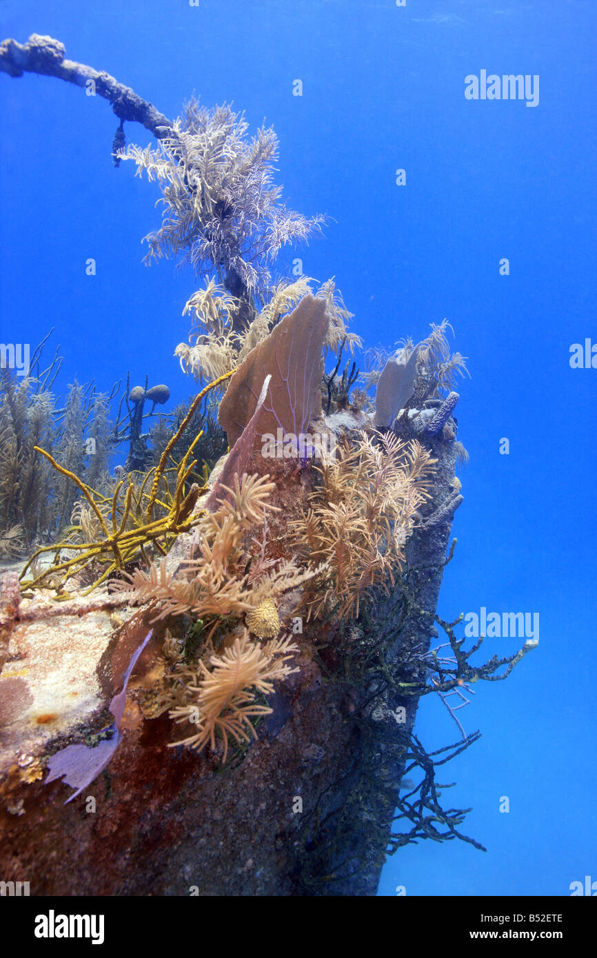 Prince albert bay hi-res stock photography and images - Alamy