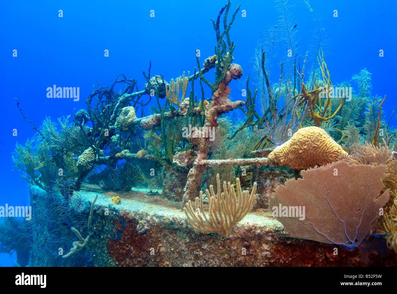underwater ship wreck the Prince Albert Stock Photo - Alamy