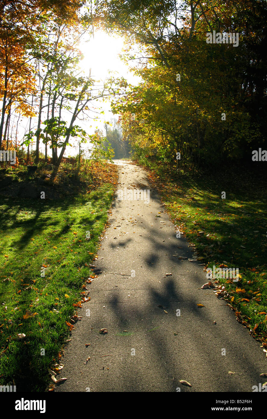 Early Morning Light Photography