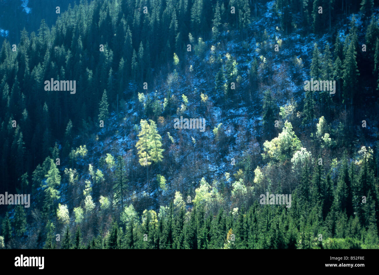 Sarnia rock hi-res stock photography and images - Alamy