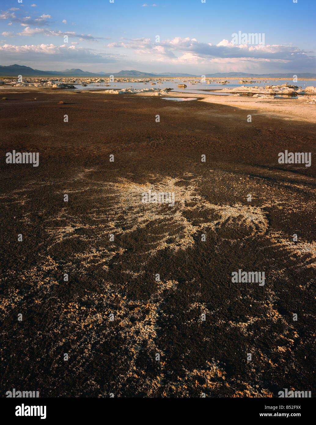 Mono lake sand hi-res stock photography and images - Alamy