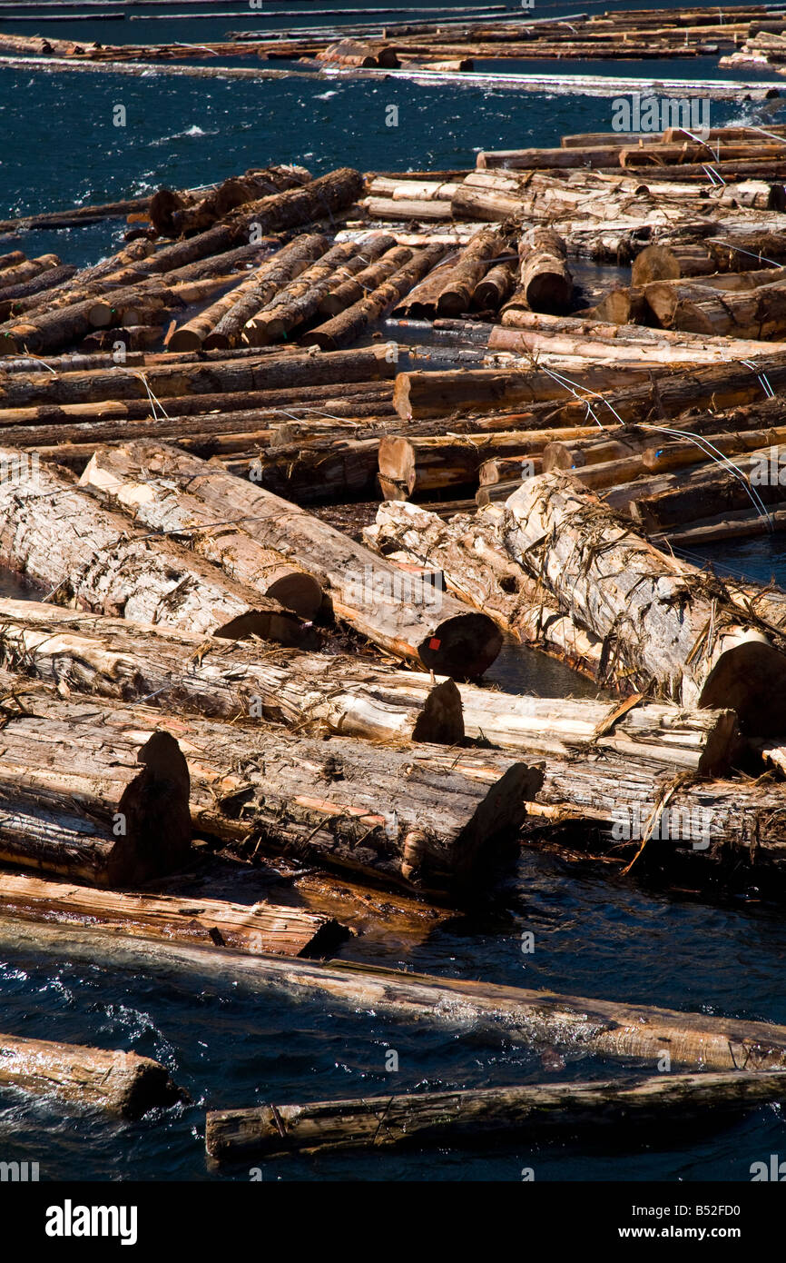 Vancouver island river hi-res stock photography and images - Alamy