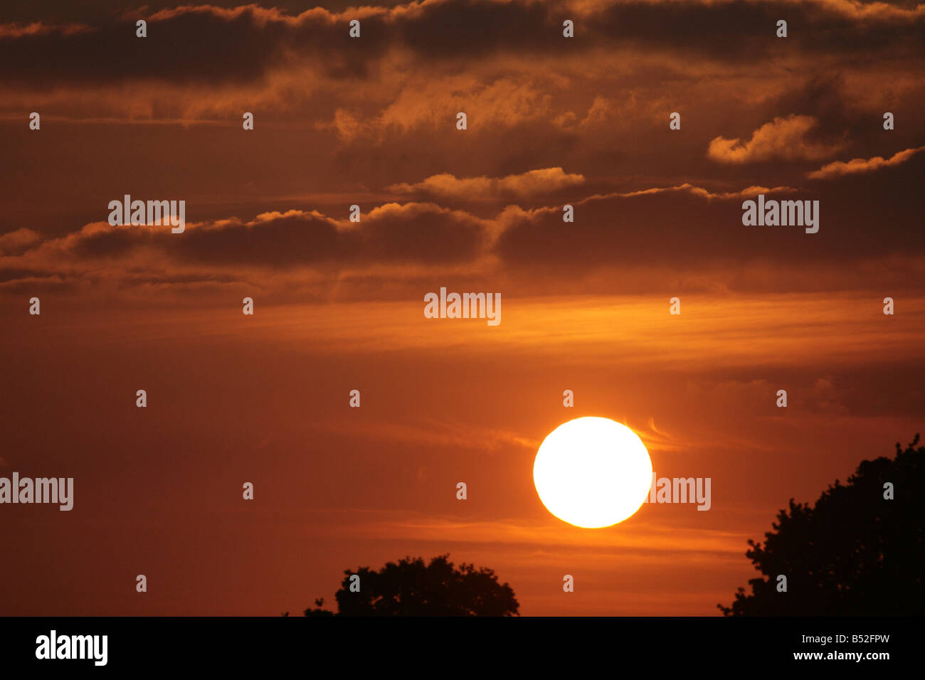 Sun shing hi-res stock photography and images - Alamy