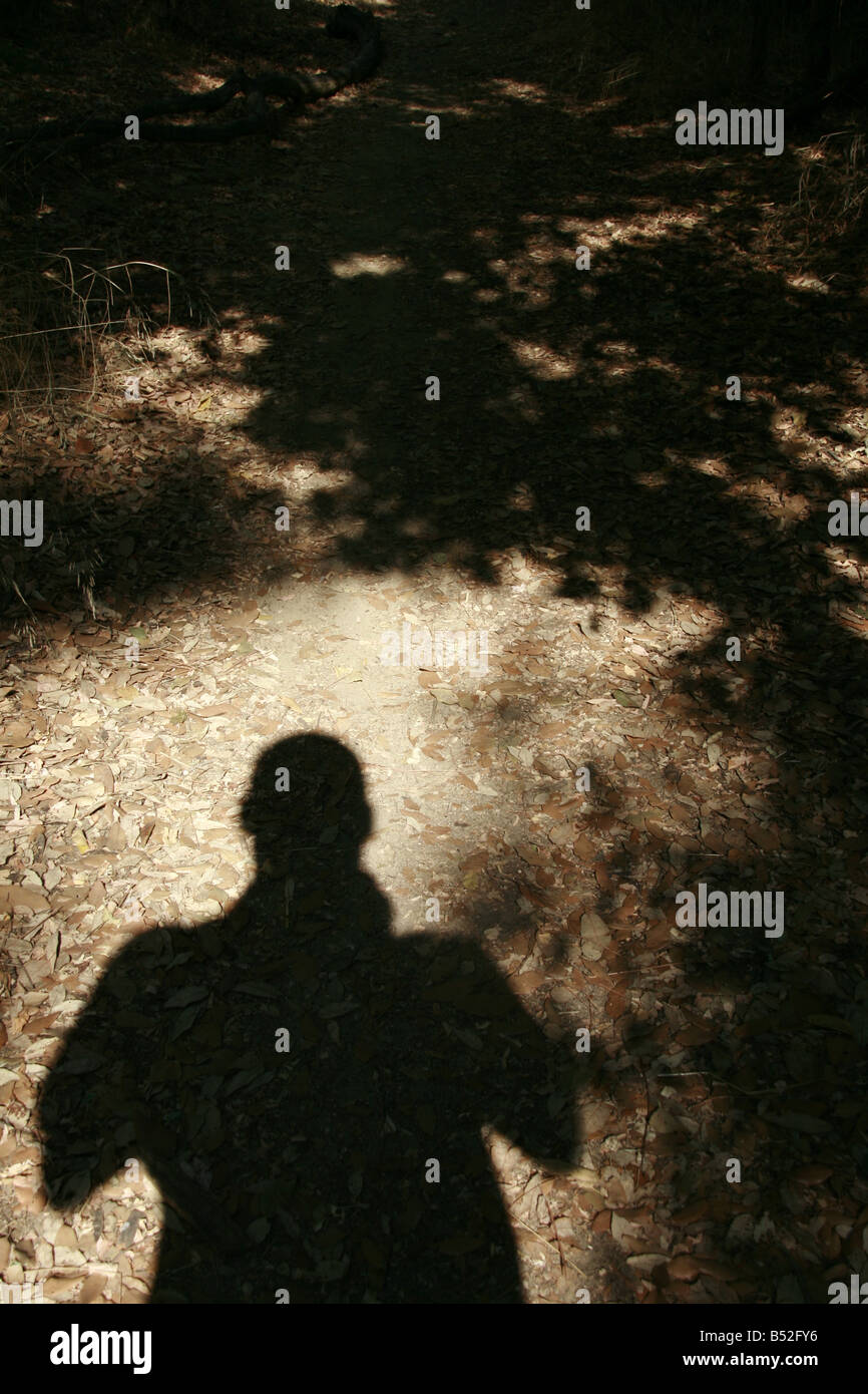 man's shadow in woods Stock Photo - Alamy