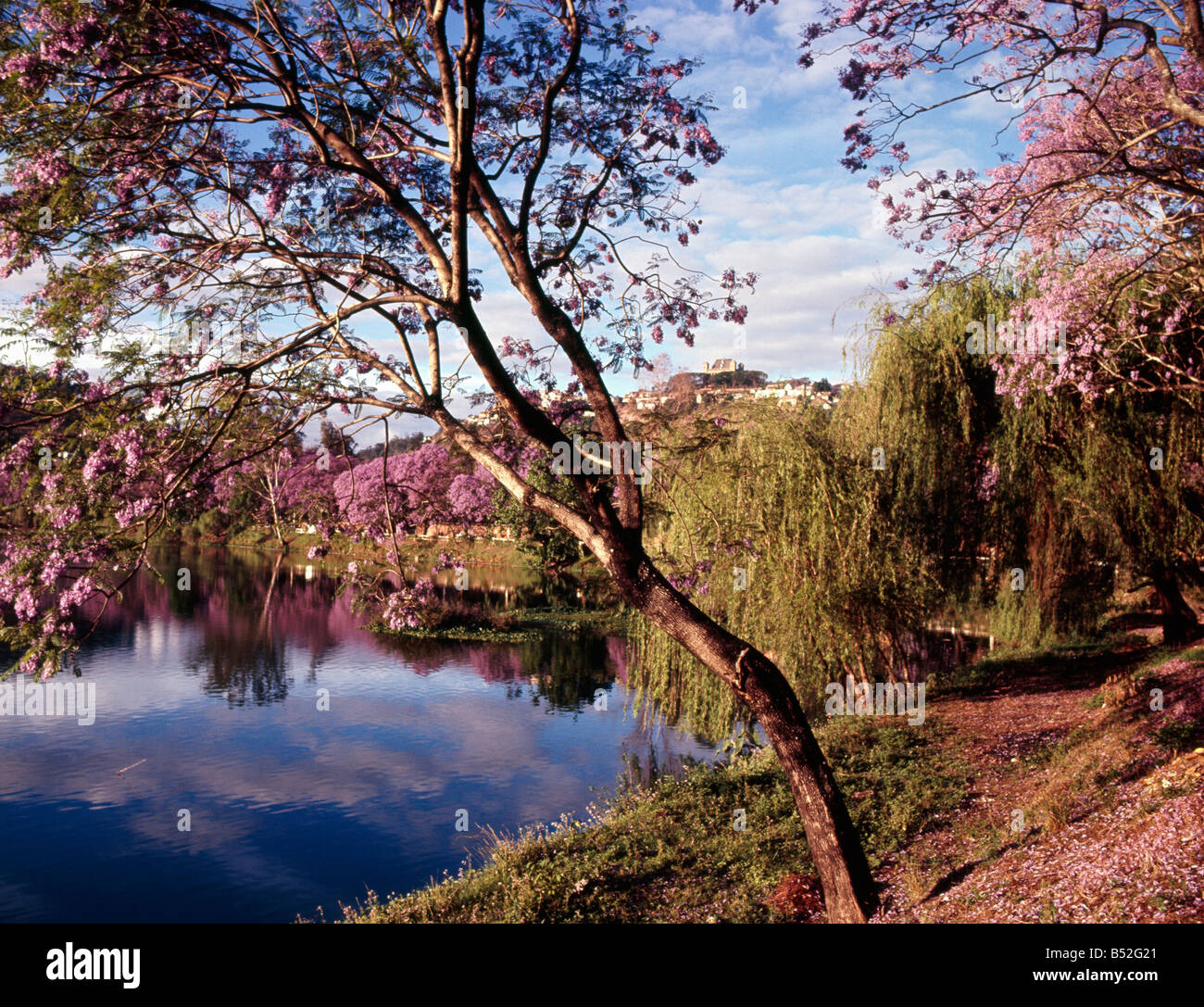 Lake Anosy Antananarivo Madagascar High Resolution Stock Photography ...