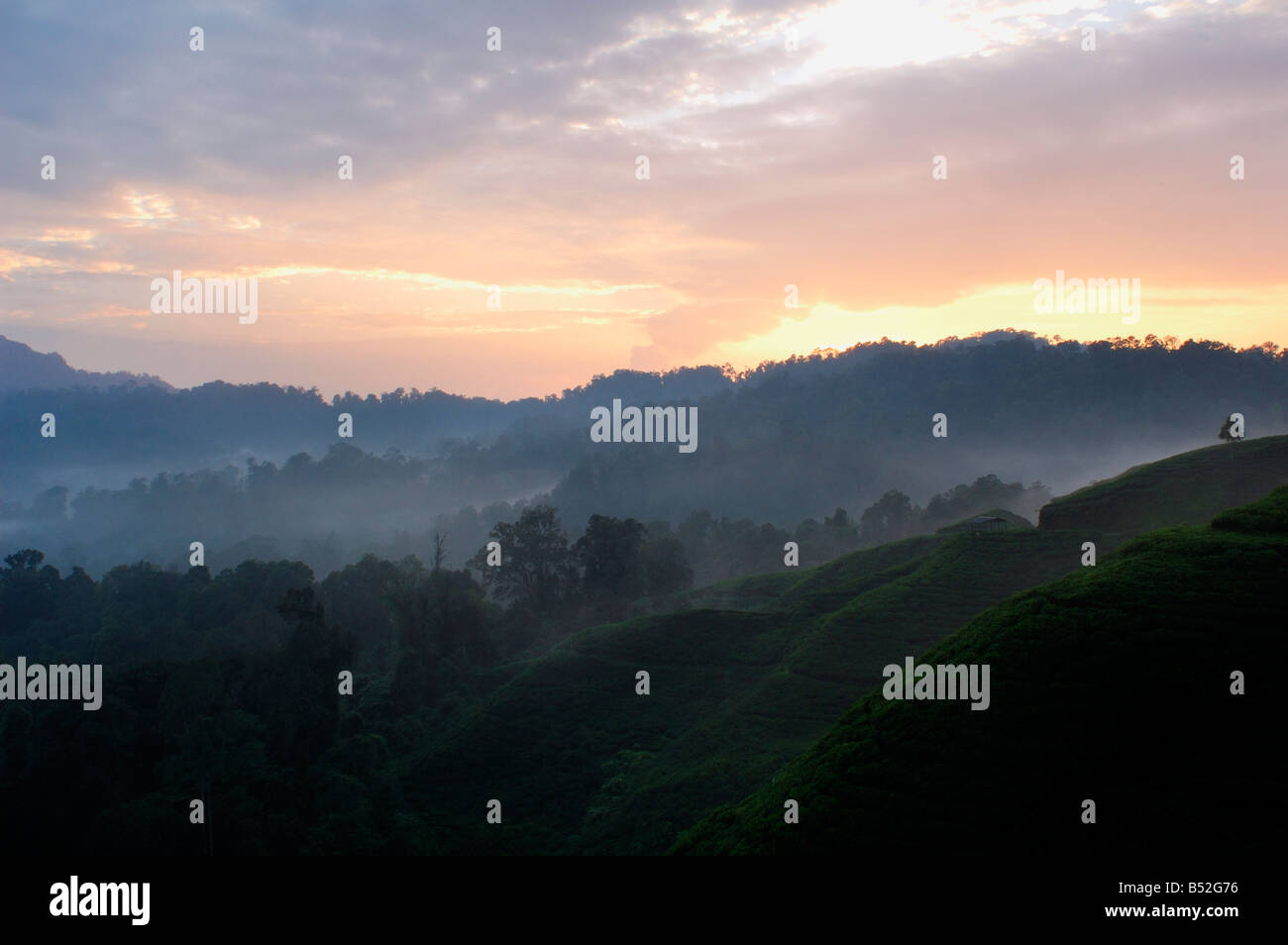 Mount halimun national park hi-res stock photography and images - Alamy