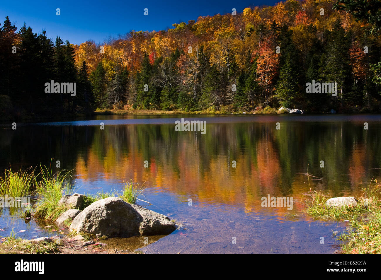 Sandwich notch hi-res stock photography and images - Alamy