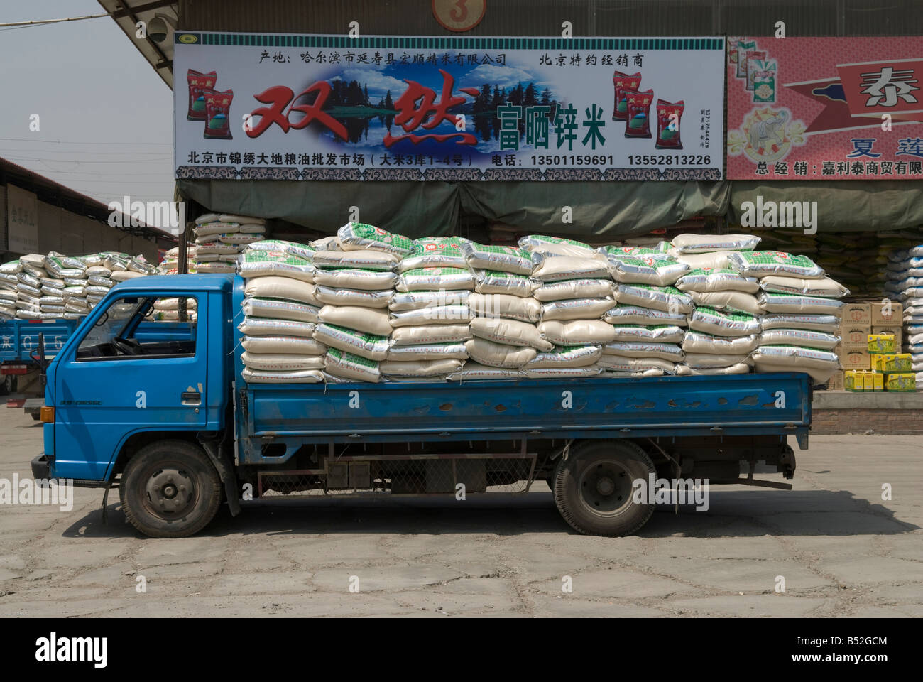 Riz rice field hi-res stock photography and images - Alamy