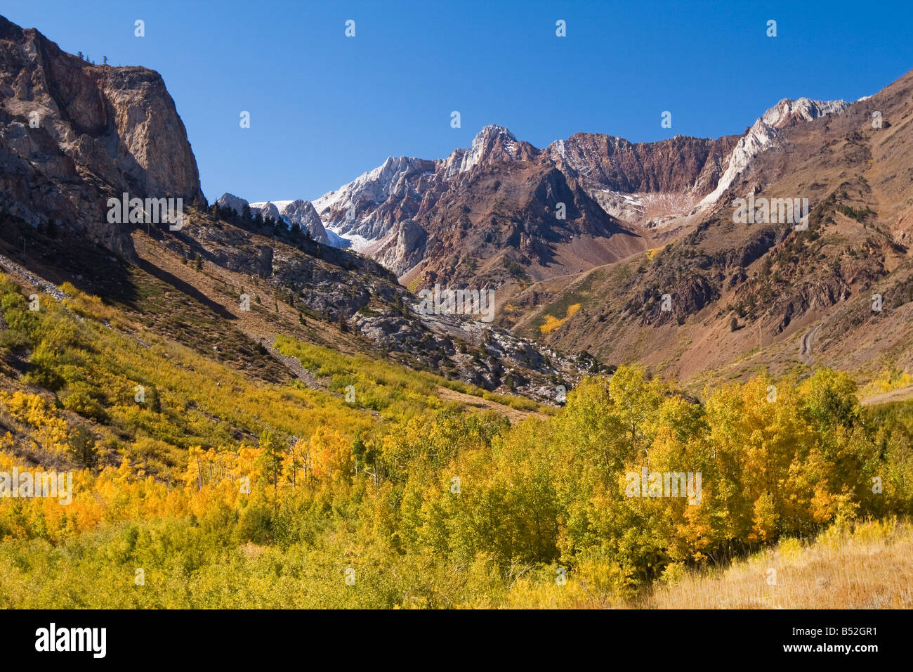 Desktop Wallpapers Mcgee Creek Studio Mcgee Wallpaper Shop On