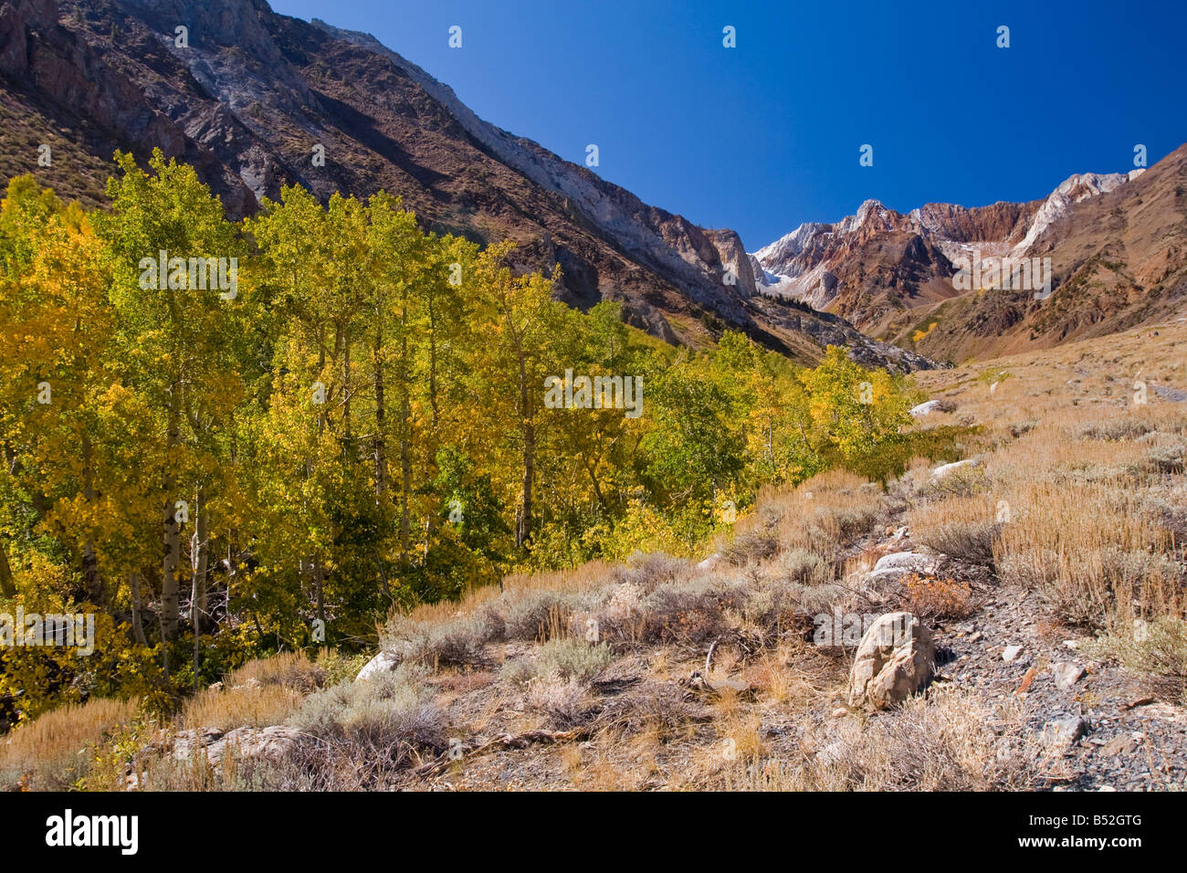 Mammoth creek hi-res stock photography and images - Alamy