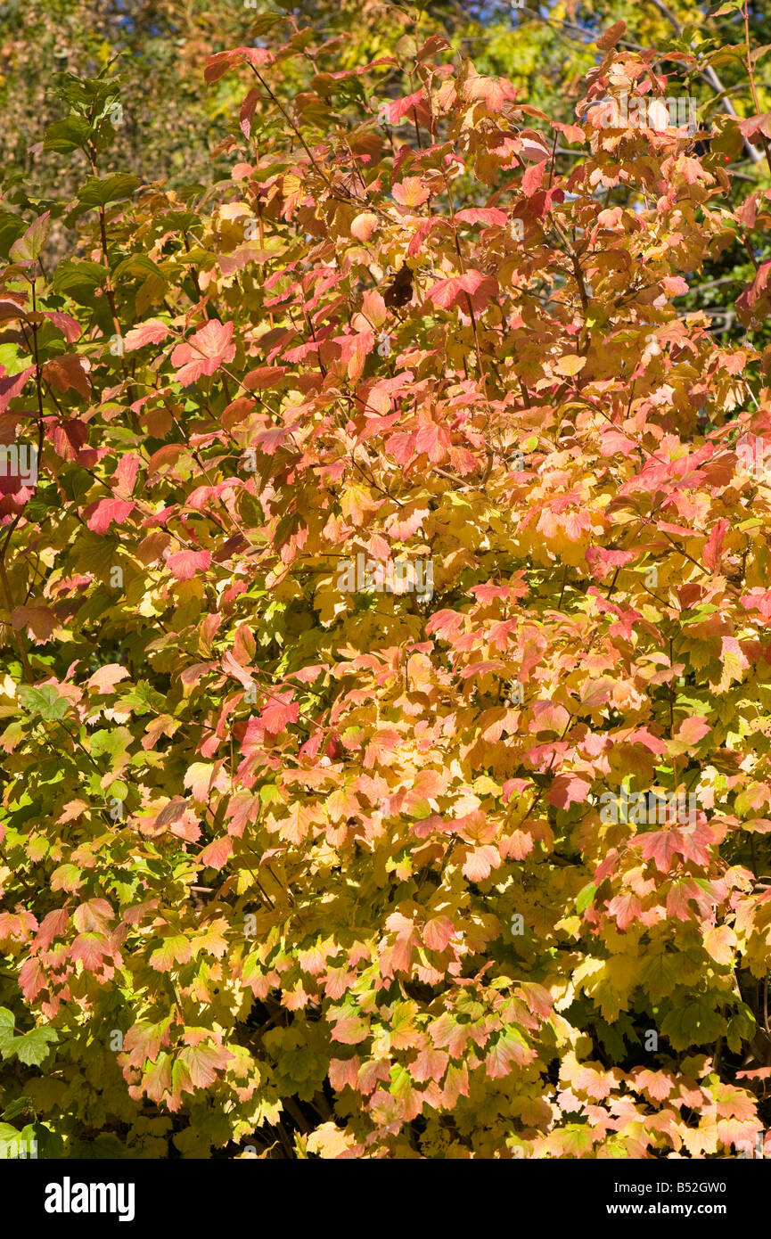 London colours hi-res stock photography and images - Alamy