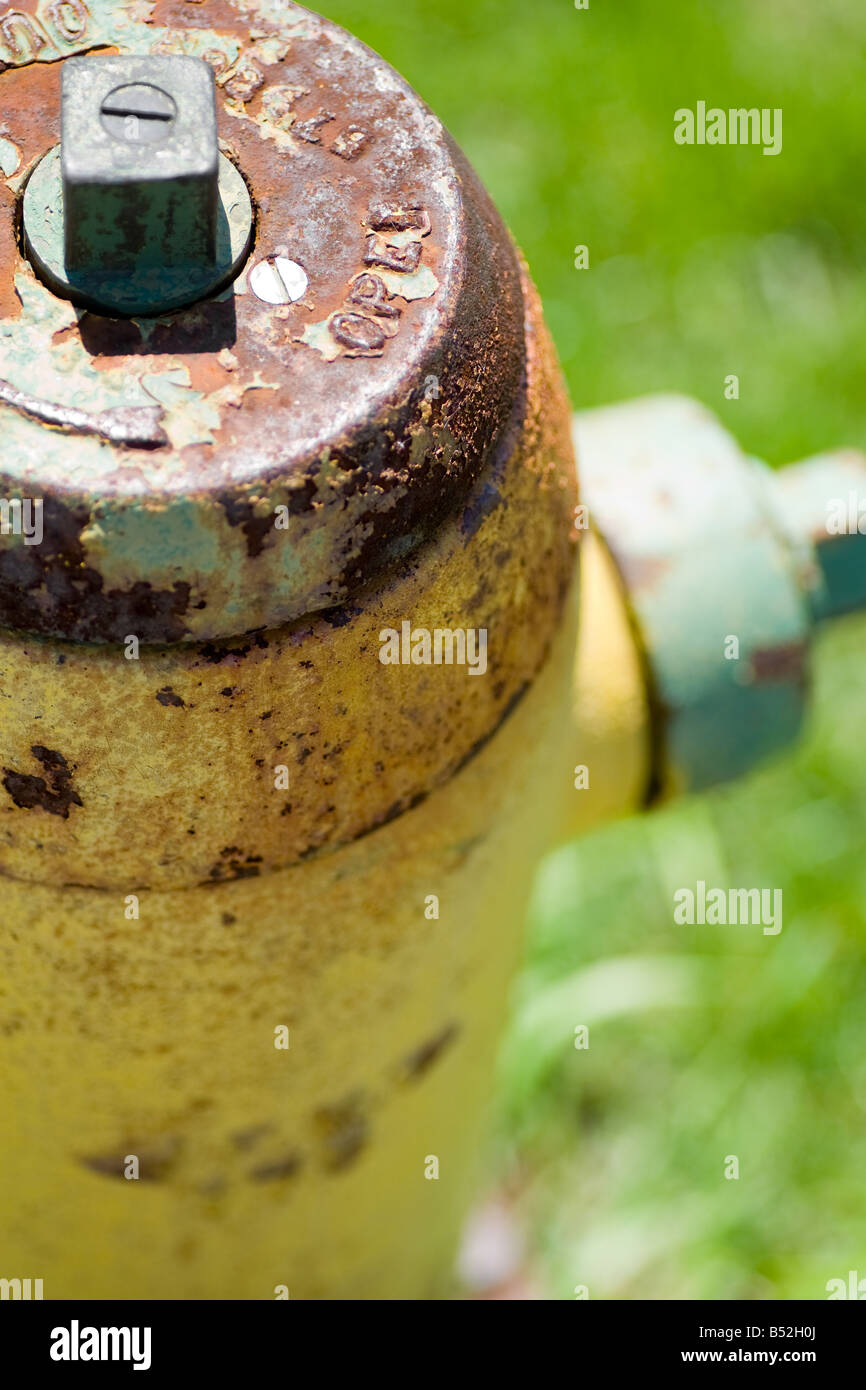 Yellow fire hydrant Stock Photo - Alamy