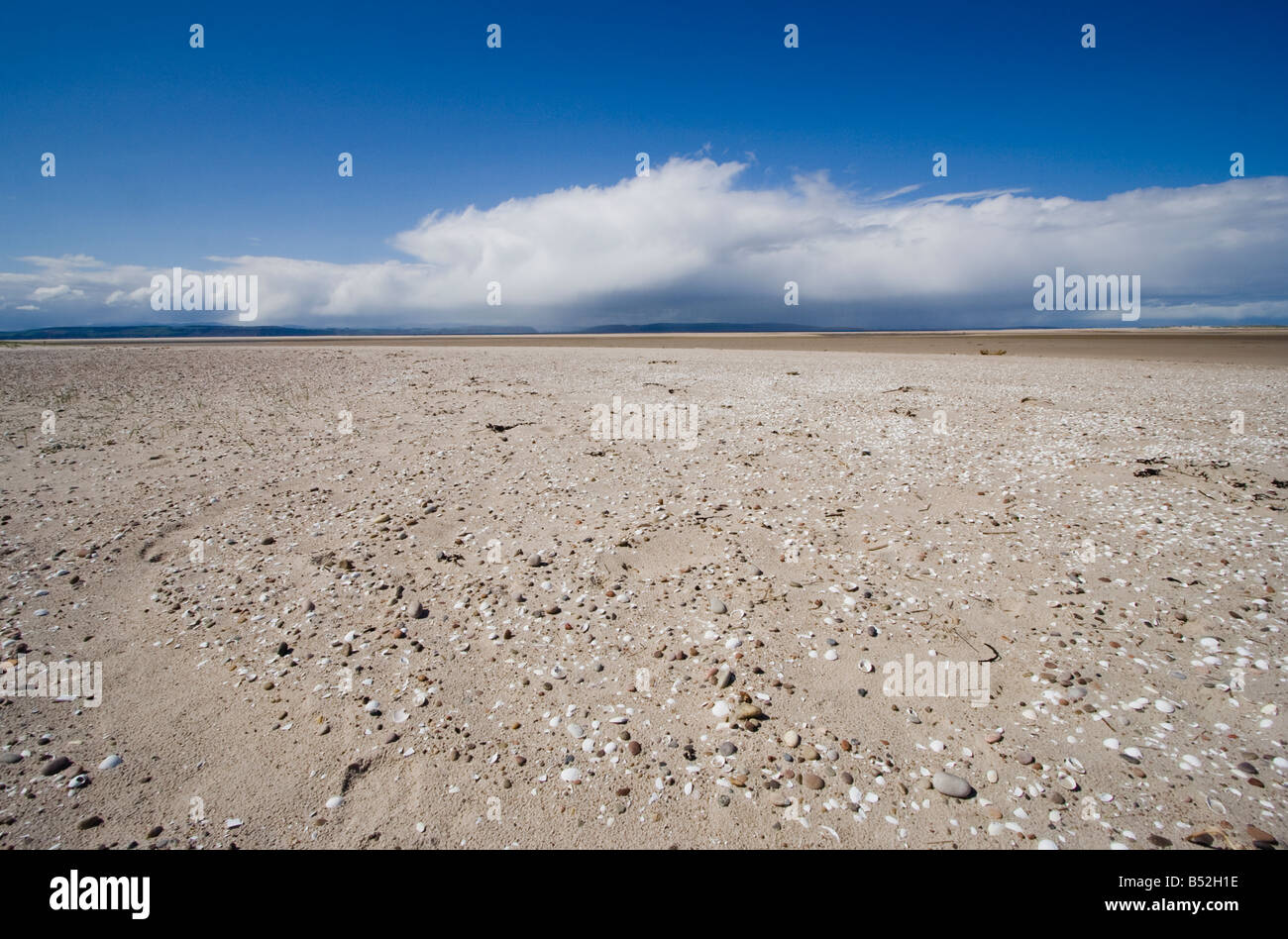 Low tide, sand and shells - Nairn Beach Stock Photo - Alamy