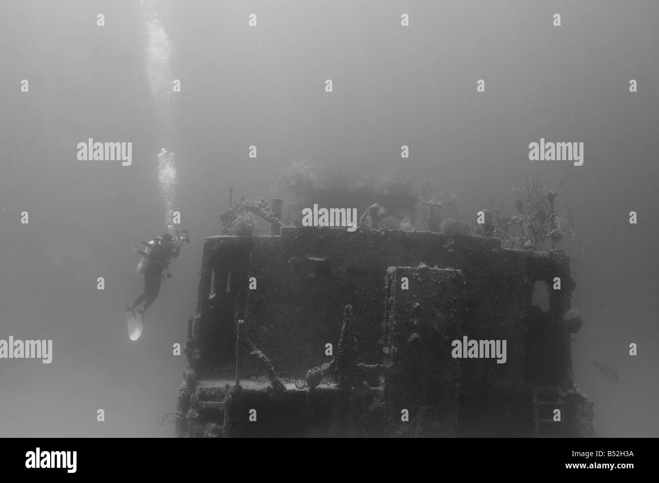 underwater ship wreck the Prince Albert with diver shooting photographs ...